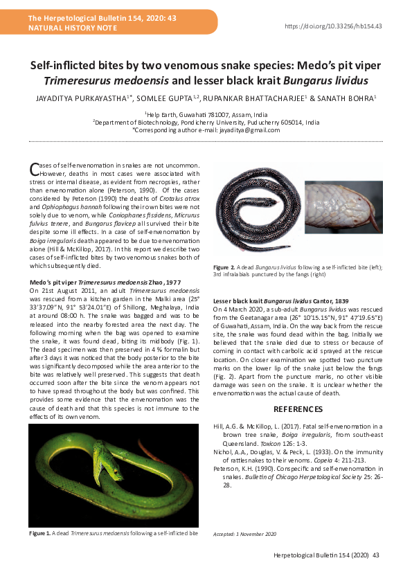 (PDF) Self-inflicted bites by two venomous snake species: Medo’s pit ...