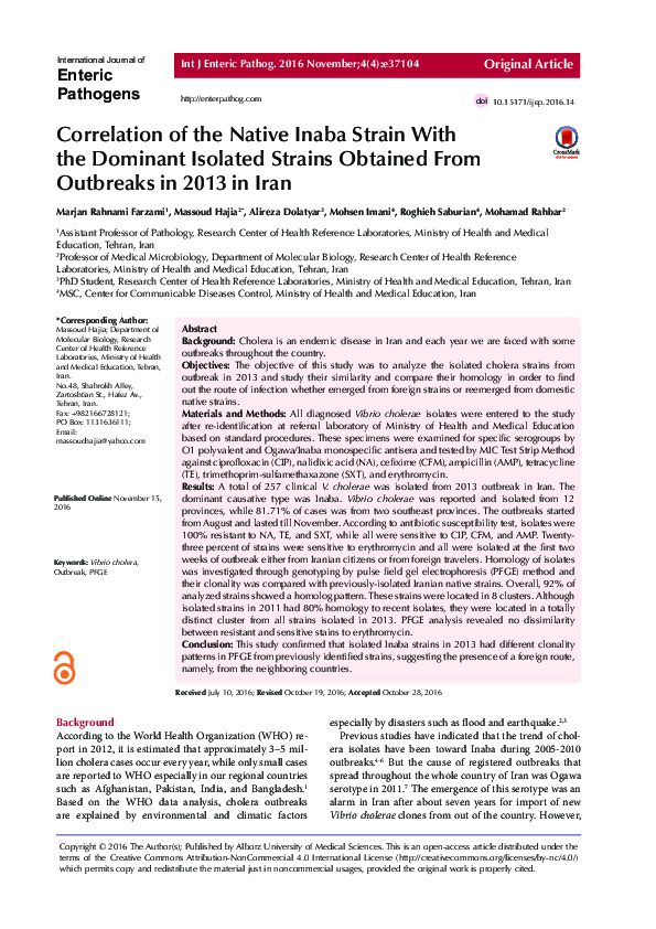 (PDF) Correlation of the Native Inaba Strain With the Dominant Isolated ...