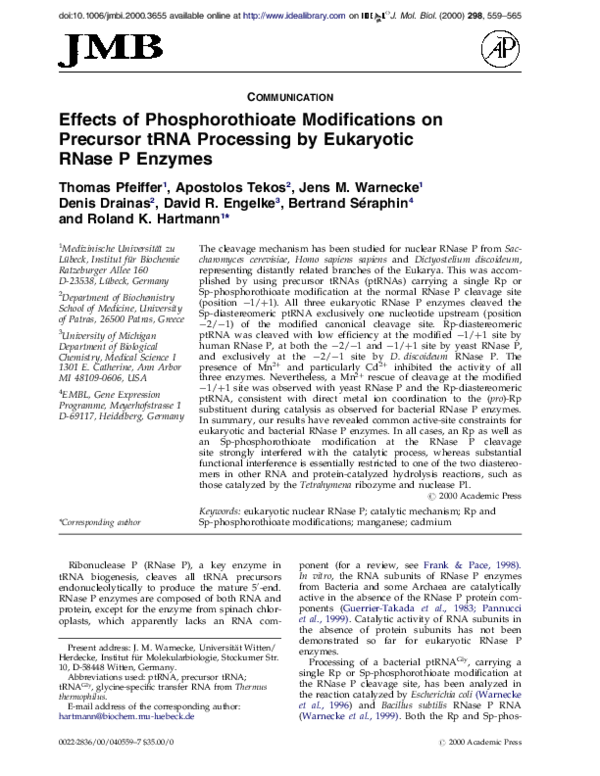 Pdf Effects Of Phosphorothioate Modifications On Precursor Trna Processing By Eukaryotic Rnase