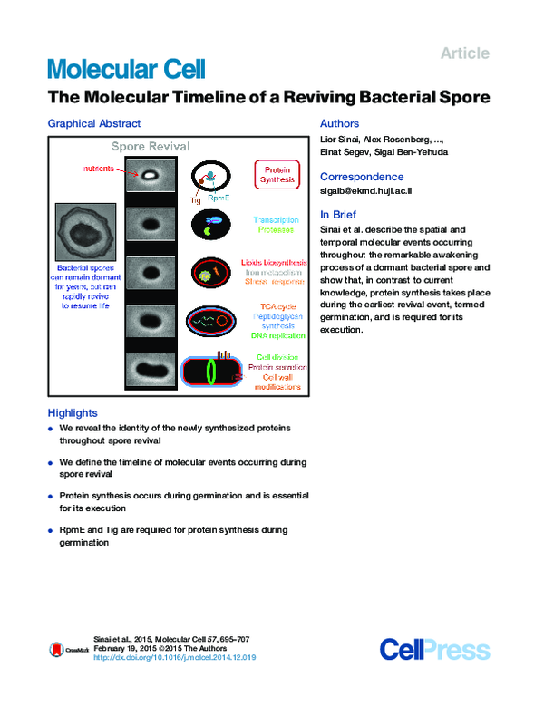 (PDF) The Molecular Timeline of a Reviving Bacterial Spore
