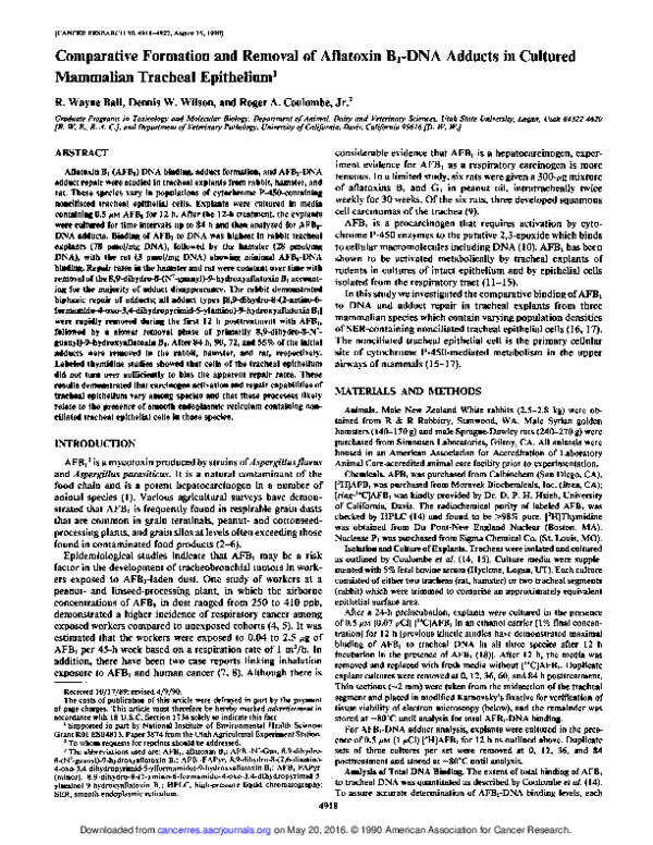 (PDF) Comparative formation and removal of aflatoxin B1-DNA adducts in ...