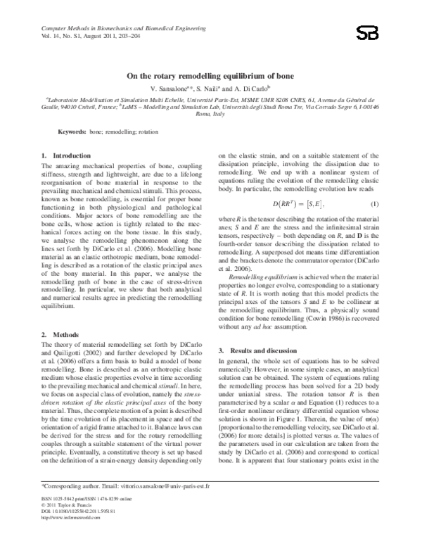 (PDF) On the rotary remodelling equilibrium of bone