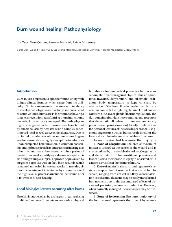 (PDF) Burn wound healing: Pathophysiology