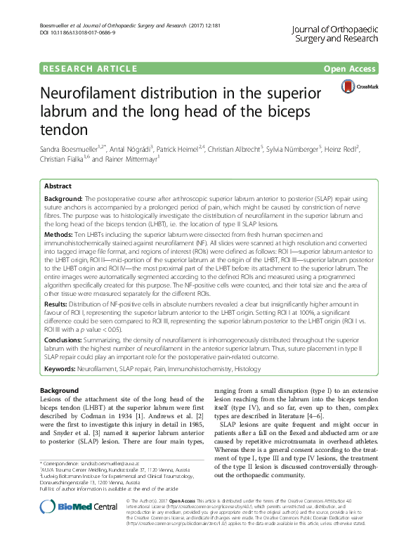 (PDF) Neurofilament distribution in the superior labrum and the long ...