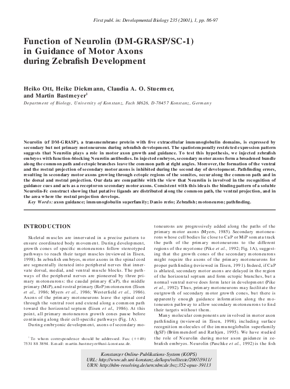 (PDF) Function of Neurolin (DM-GRASP/SC-1) in Guidance of Motor Axons during Zebrafish Development