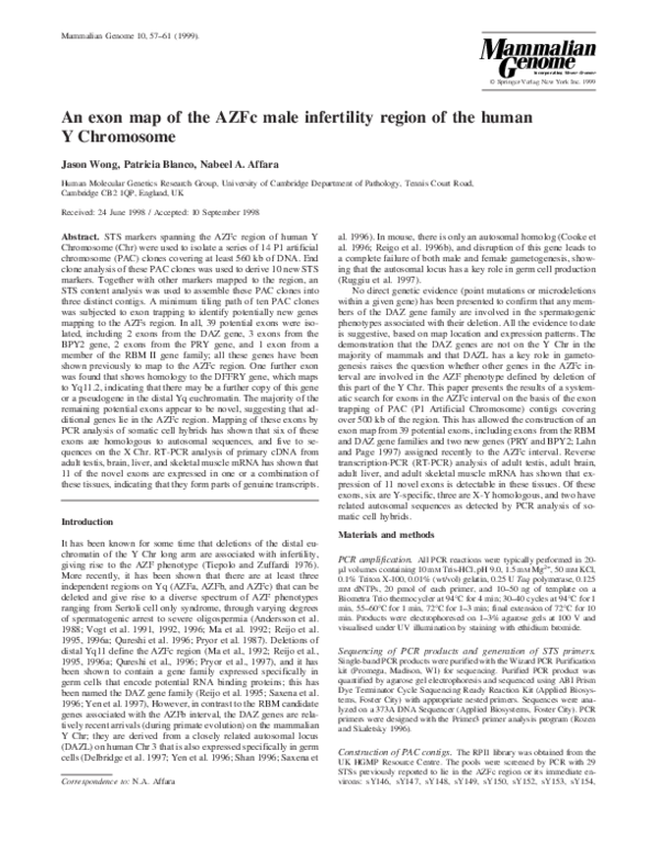 (PDF) An exon map of the AZFc male infertility region of the human Y ...