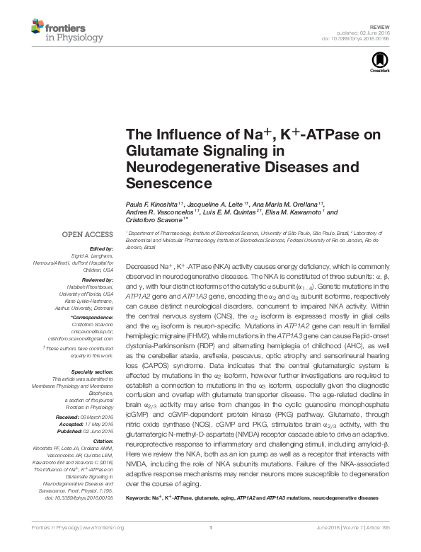 (PDF) The Influence of Na+, K+-ATPase on Glutamate Signaling in ...