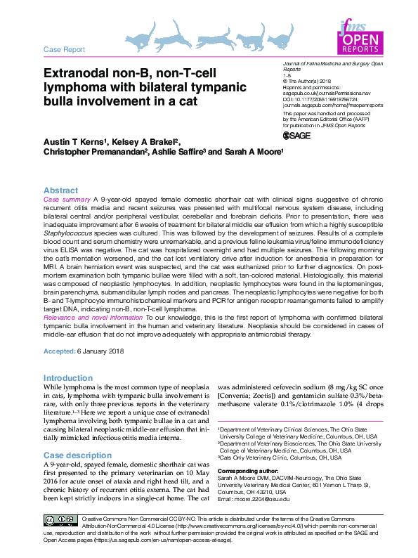 (PDF) Extranodal non-B, non-T-cell lymphoma with bilateral tympanic ...