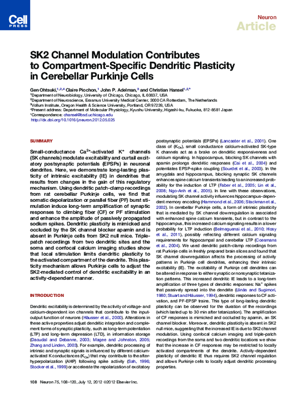(PDF) SK2 Channel Modulation Contributes to Compartment-Specific ...