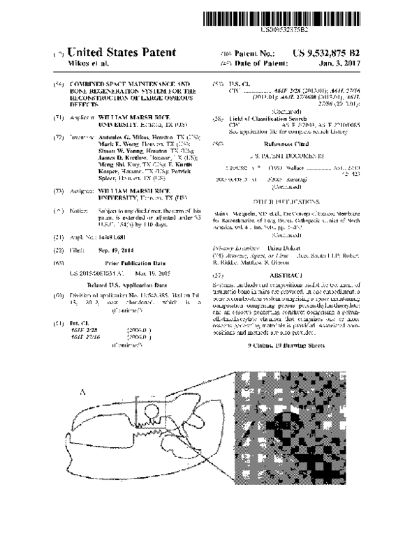 (PDF) United States Patent