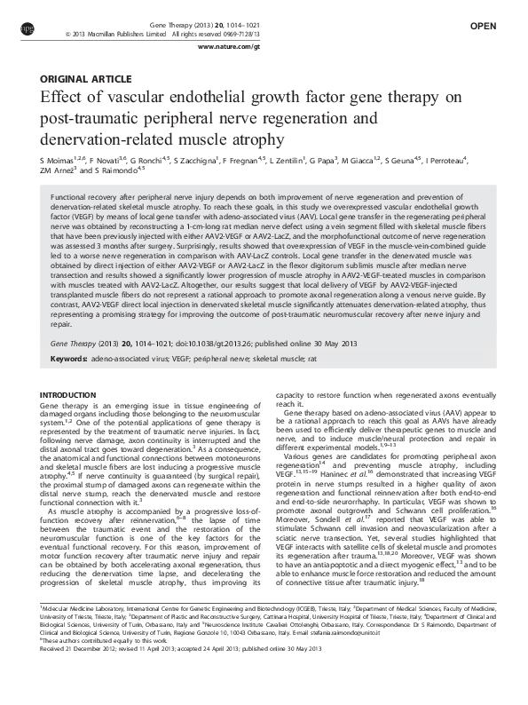 (PDF) Effect of vascular endothelial growth factor gene therapy on post ...