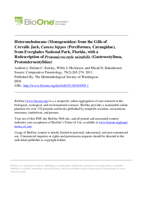 (PDF) Heteronchoineans (Monogenoidea) from the Gills of Crevalle Jack ...