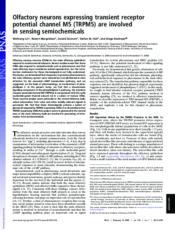 (PDF) Olfactory neurons expressing transient receptor potential channel M5 (TRPM5) are involved ...