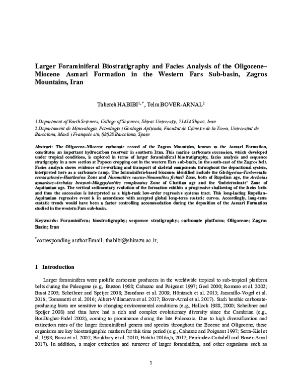 (PDF) Larger Foraminiferal Biostratigraphy and Facies Analysis of the ...