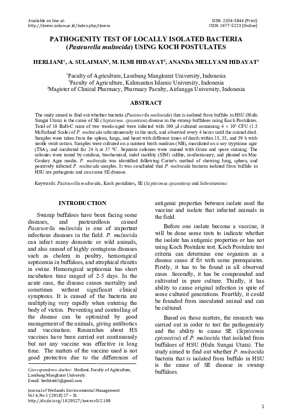 (DOC) Pathogenity Test Bacteria Pasteurella multocida Local Isolate ...