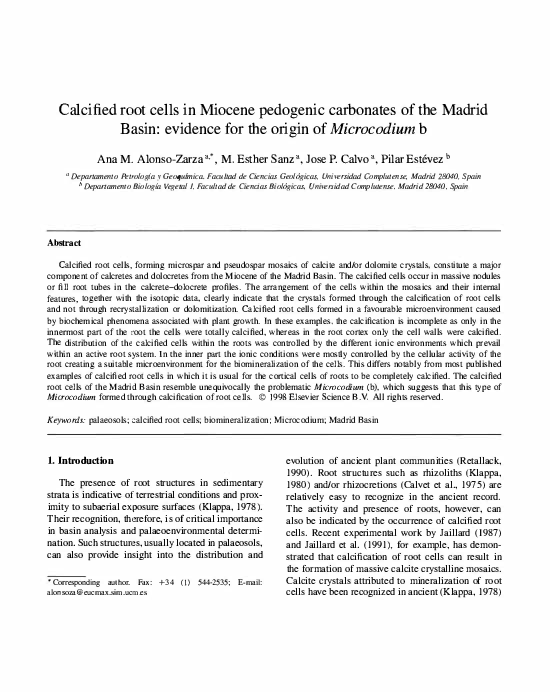 (PDF) Calcified root cells in Miocene pedogenic carbonates of the ...