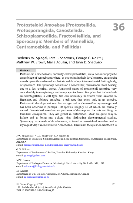 (PDF) Protosteloid Amoebae (Protosteliida, Protosporangiida ...