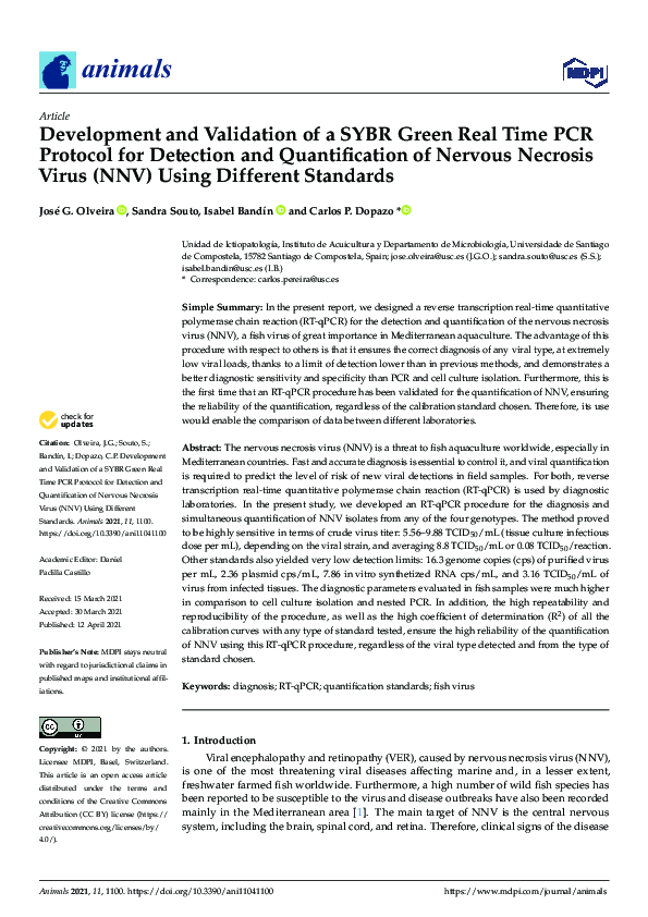 (PDF) Development and Validation of a SYBR Green Real Time PCR Protocol for Detection and ...