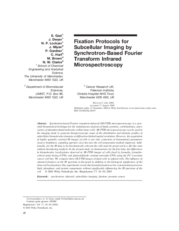 (PDF) Fixation protocols for subcellular imaging by synchrotron-based ...
