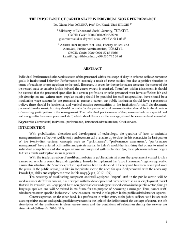 (PDF) THE IMPORTANCE OF CAREER STAFF IN INDIVIDUAL WORK PERFORMANCE