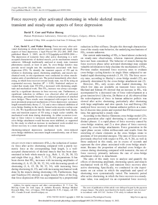 (PDF) Force recovery after . . . in whole skeletal muscle | David Corr ...