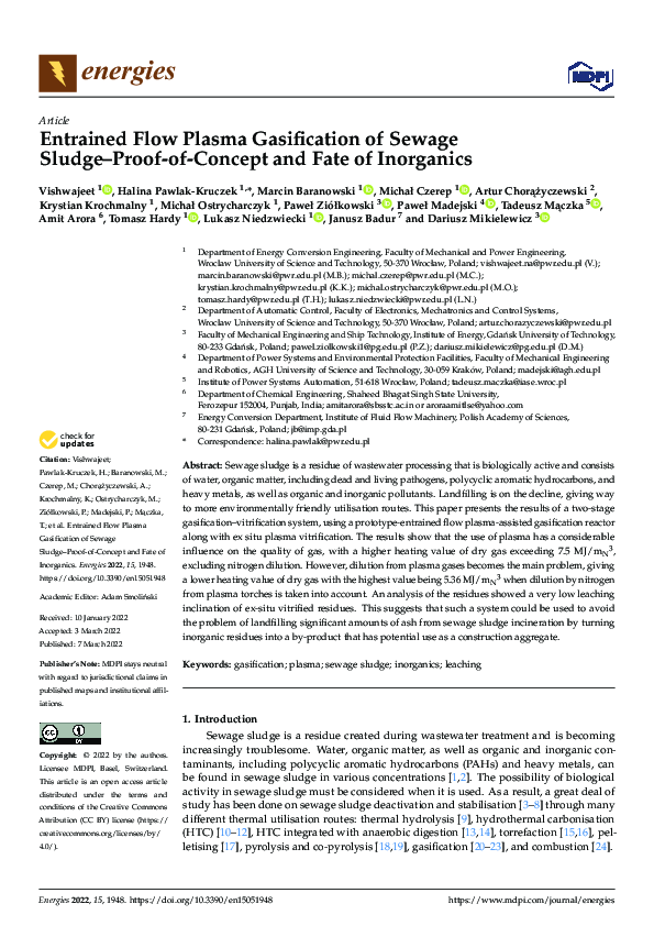 (PDF) Entrained Flow Plasma Gasification of Sewage Sludge–Proof-of ...