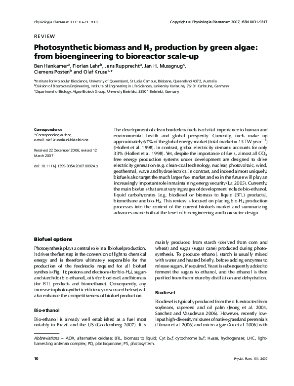 (PDF) Photosynthetic biomass and H2production by green algae: from bioengineering to bioreactor ...
