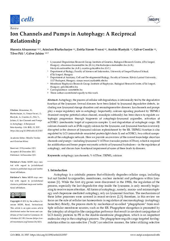 (PDF) Ion Channels and Pumps in Autophagy: A Reciprocal Relationship
