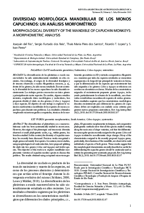 (PDF) Morphological diversity of the mandible of capuchin monkeys: a ...