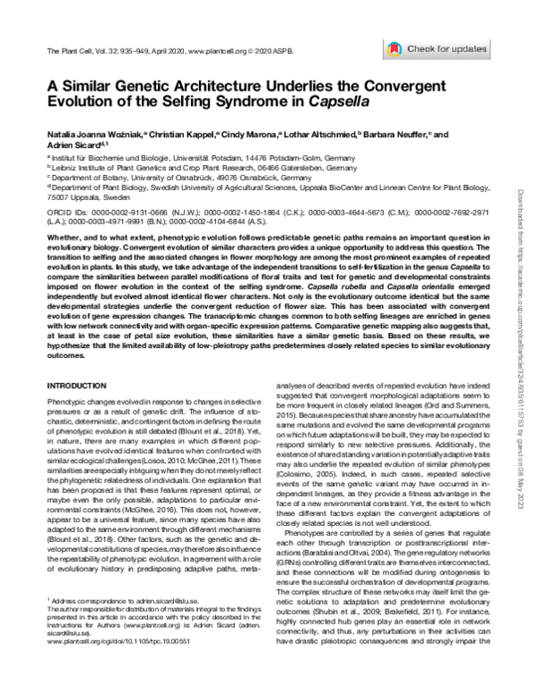 (PDF) A Similar Genetic Architecture Underlies the Convergent Evolution ...