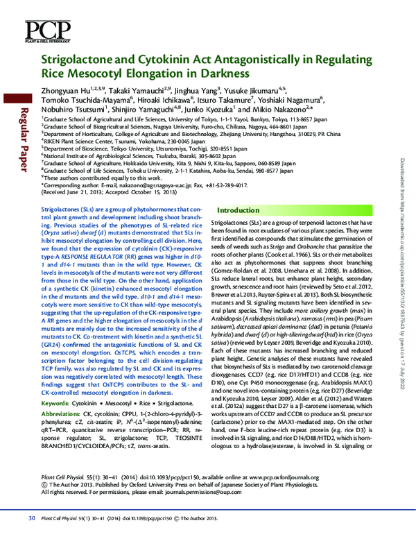 (PDF) Strigolactone and Cytokinin Act Antagonistically in Regulating ...