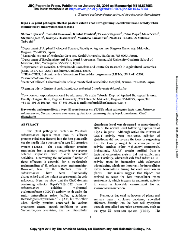 (PDF) RipAY, a Plant Pathogen Effector Protein, Exhibits Robust γ ...