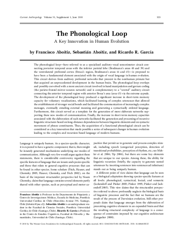 (PDF) The Phonological Loop