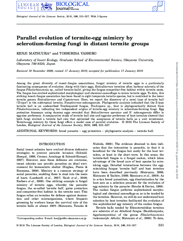 (PDF) Parallel evolution of termite-egg mimicry by sclerotium-forming ...
