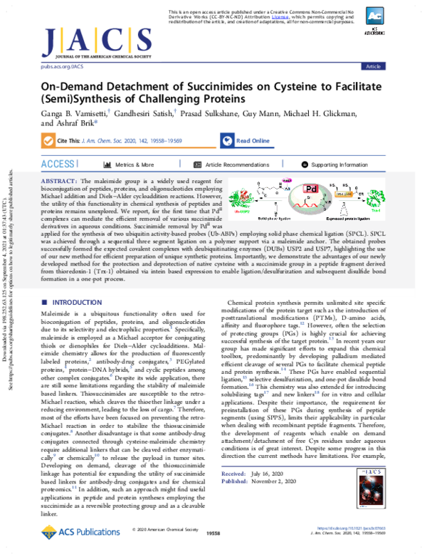 (PDF) On-Demand Detachment of Succinimides on Cysteine to Facilitate ...