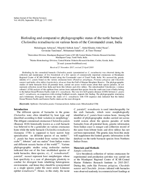 (PDF) Biofouling and comparative phylogeographic status of the turtle ...