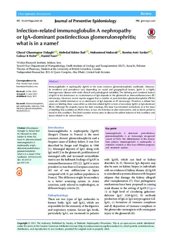 (PDF) Infection-related immunoglobulin A nephropathy or IgA-dominant ...