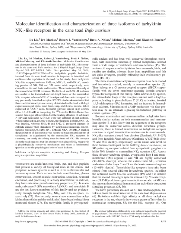 (PDF) Molecular identification and characterization of three isoforms ...