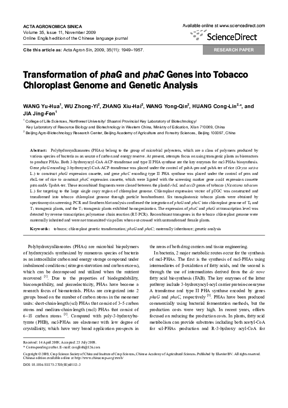 (PDF) Transformation of phaG and phaC Genes into Tobacco Chloroplast ...