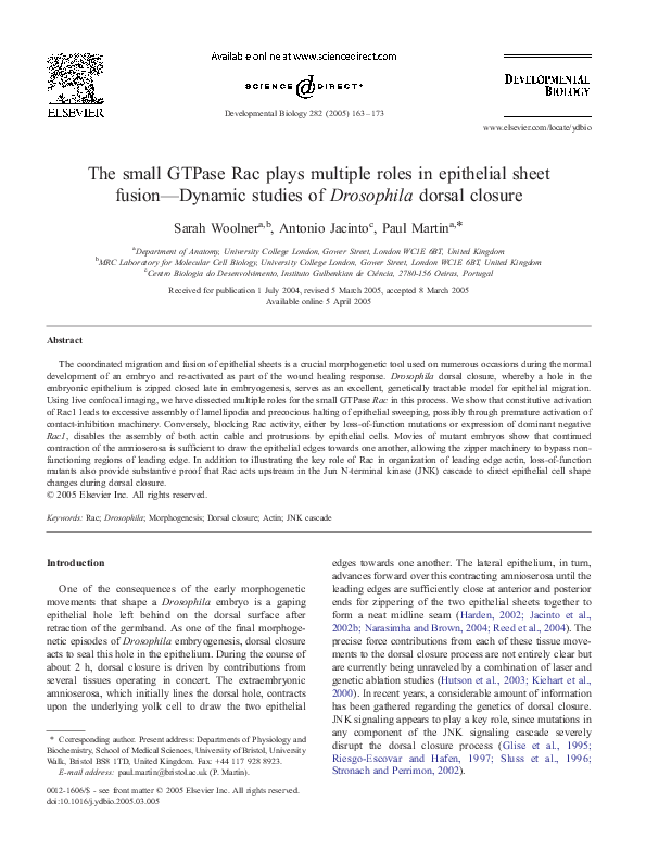 (PDF) The small GTPase Rac plays multiple roles in epithelial sheet ...