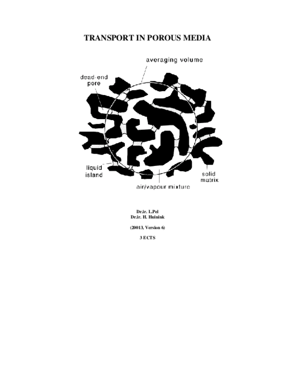 (PDF) Transport in Porous Media