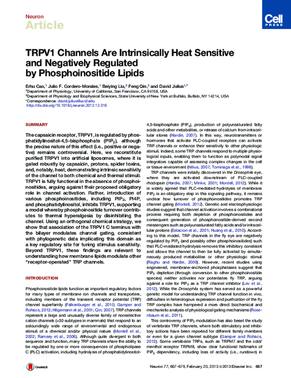 (PDF) TRPV1 Channels are Intrinsically Heat Sensitive and Negatively ...