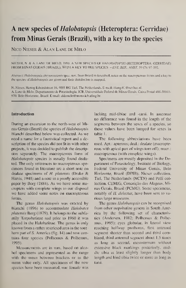 (PDF) A new species of Halobatopsis (Heteroptera: Gerridae) from Minas ...