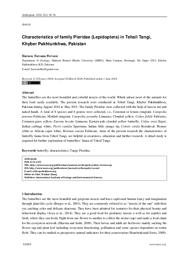 (PDF) Characteristics of family Pieridae ( Lepidoptera ) in Tehsil ...