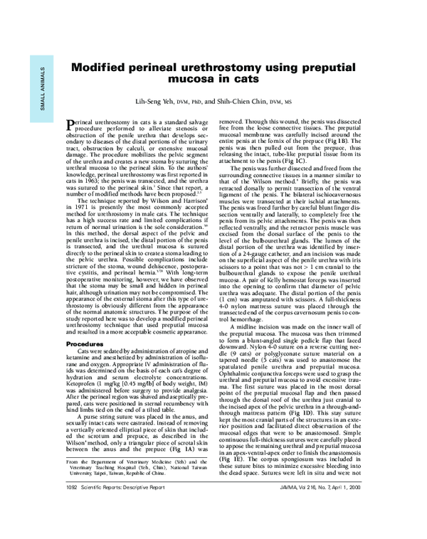Pdf Modified Perineal Urethrostomy Using Preputial Mucosa In Cats