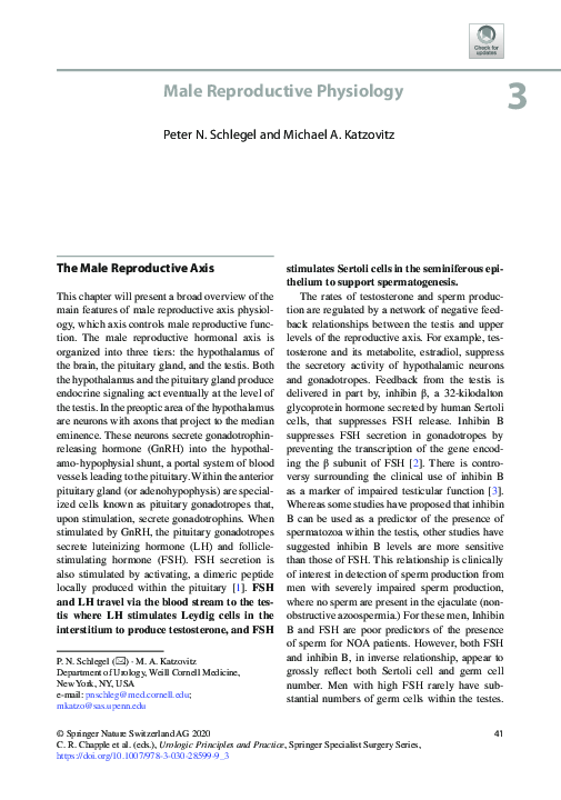 (PDF) Male Reproductive Physiology