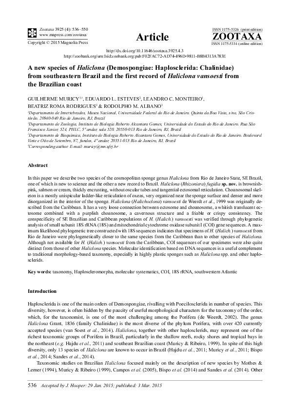(PDF) A new species of Haliclona (Demospongiae: Haplosclerida ...