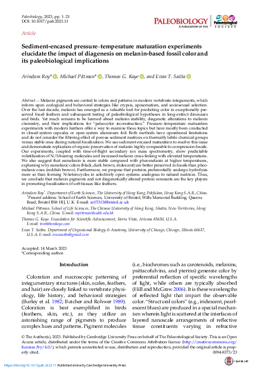 (PDF) Sediment-encased pressure-temperature maturation experiments ...