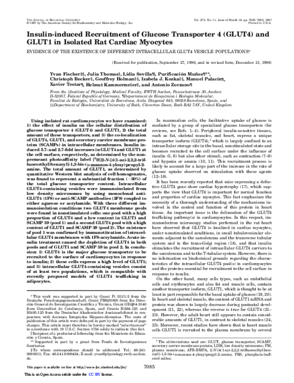 (PDF) Insulin-induced Recruitment of Glucose Transporter 4 (GLUT4) and ...