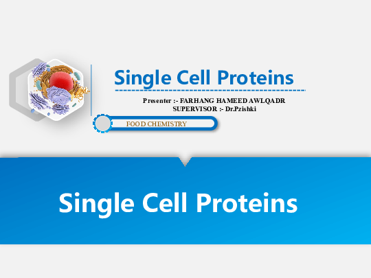 (PPT) Single cell protein